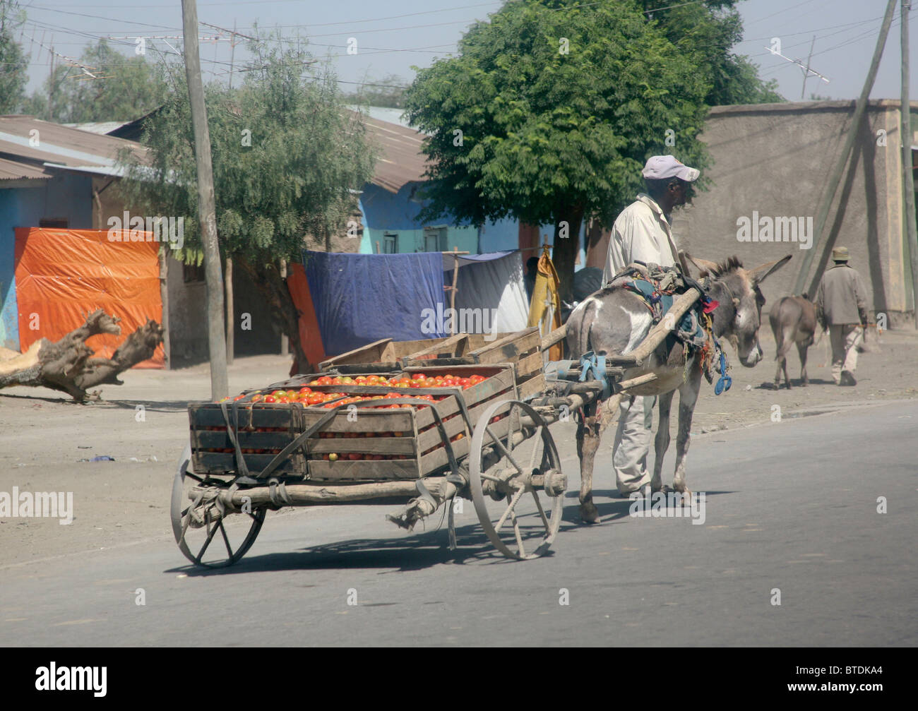 Donkey and cart hi-res stock photography and images - Alamy