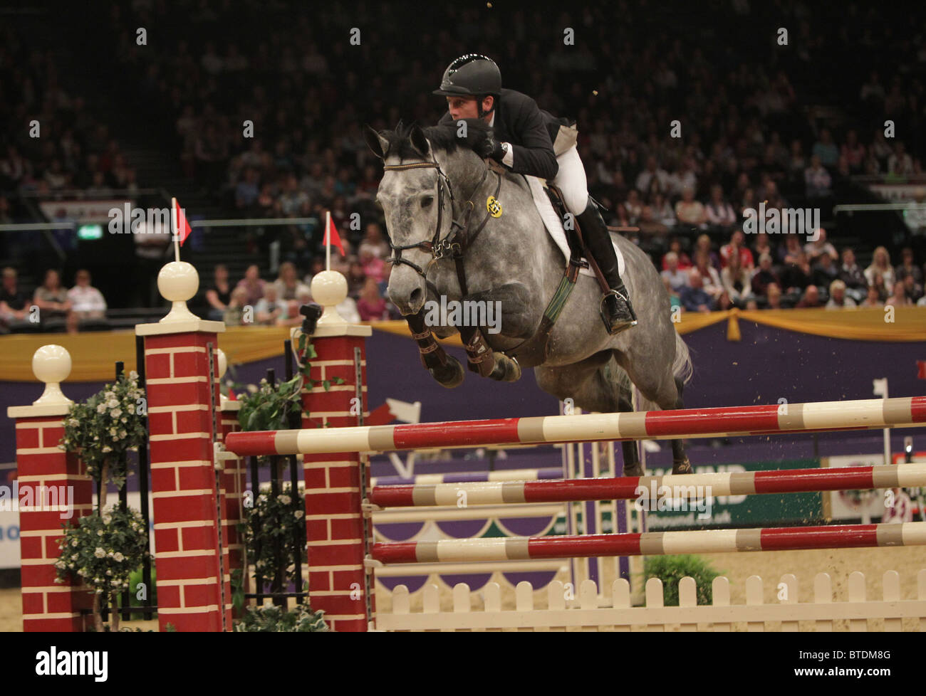 Horse of the Year Show, Grey horse, show jumping Stock Photo - Alamy