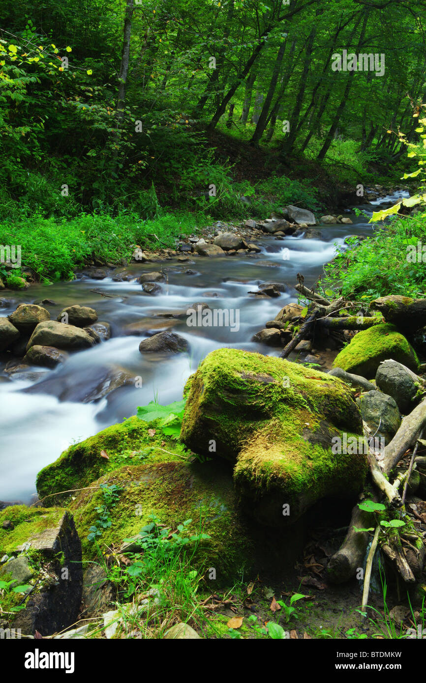 Stream creek water flow flowing day sunny sunshine nature grass hi-res ...