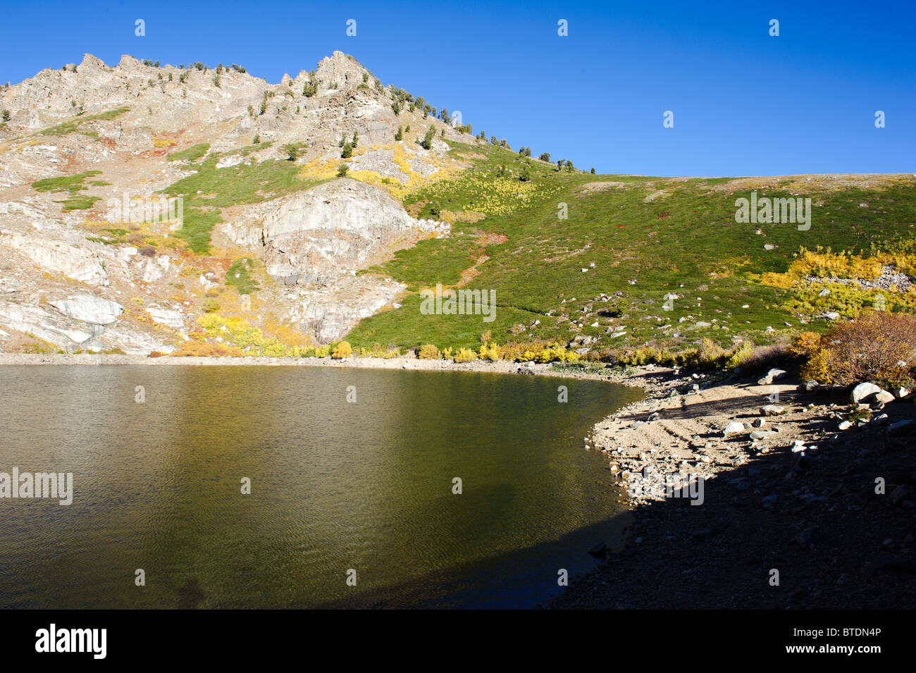 Angel Lake near Wells Nevada in the fall with brilliant gold Aspen ...