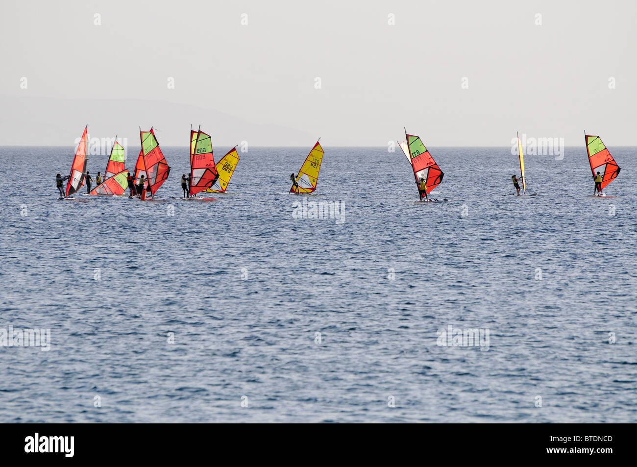 Israel, Eilat windsurfers in the bay of Aqaba Stock Photo - Alamy