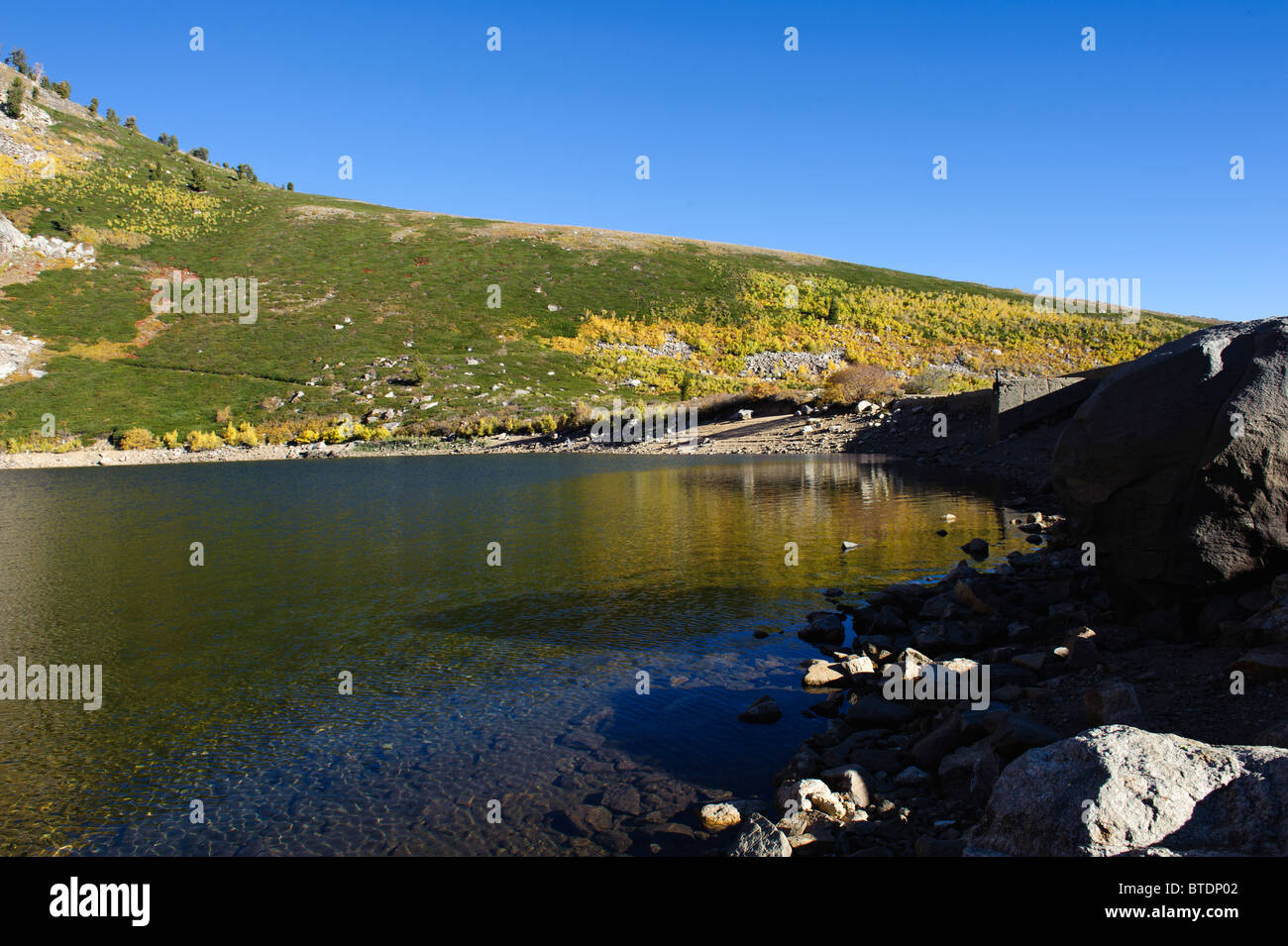 Angel Lake near Wells Nevada in the fall with brilliant gold Aspen ...