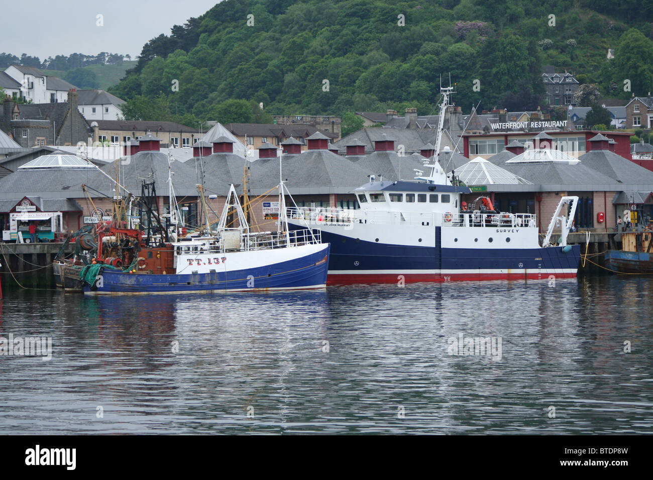 Fishing boats in Oban harbour Scotland June 2007 Stock Photo - Alamy