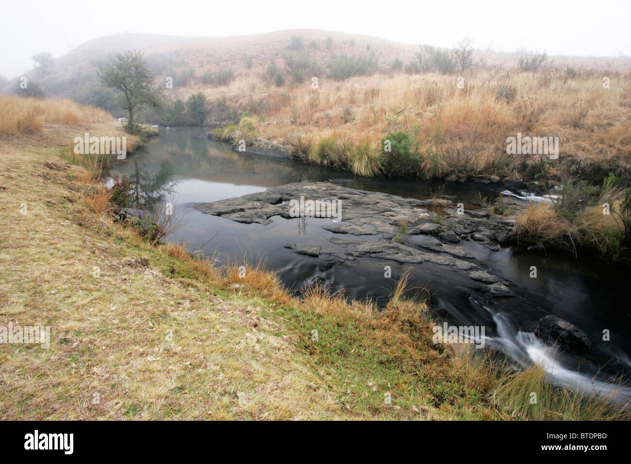 South african highveld hi-res stock photography and images - Alamy