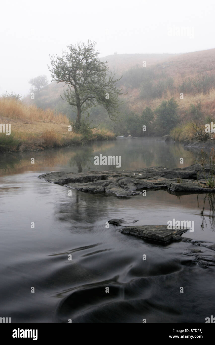 A highveld stream flowing over rocks on a misty day Stock Photo - Alamy
