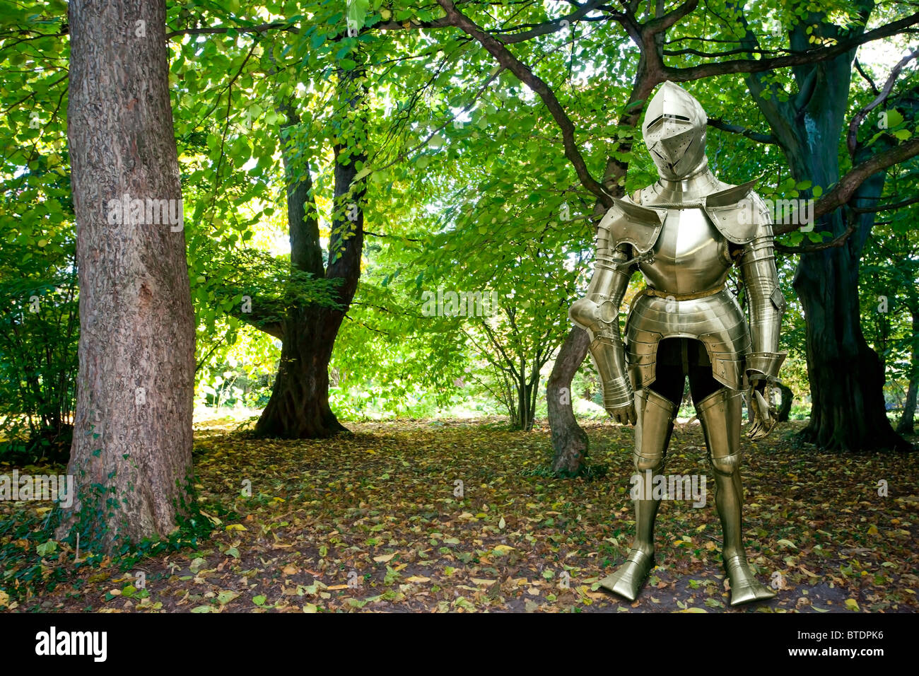 Man dressed in armour in the forest Stock Photo - Alamy