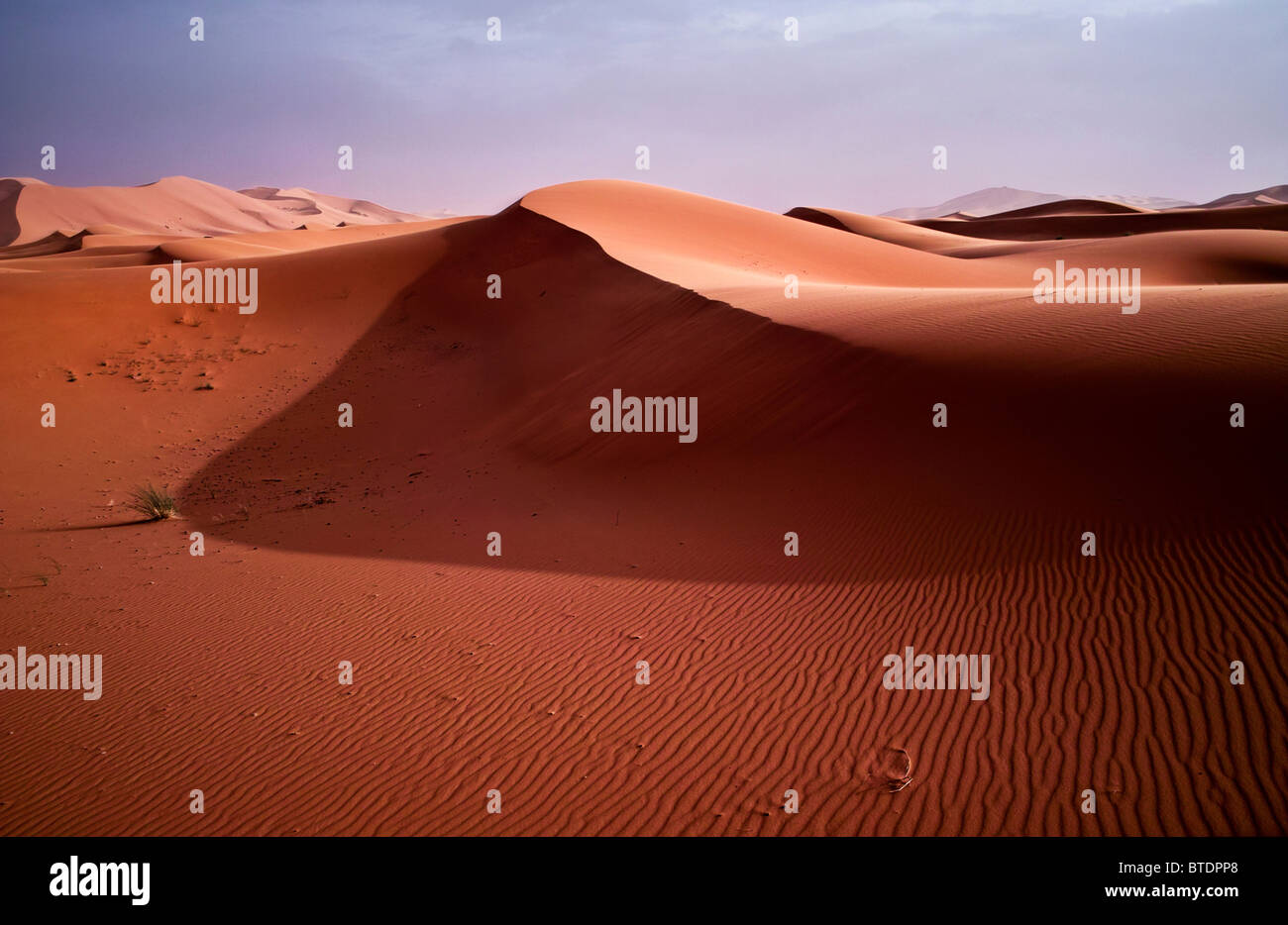 Desert landscape red sand dunes hi-res stock photography and images - Alamy