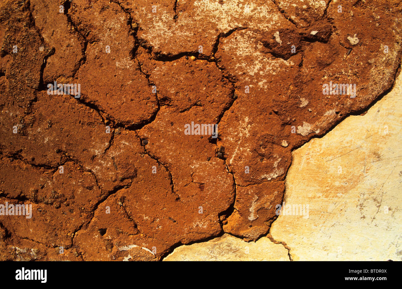 Textured brown background of mud Stock Photo - Alamy