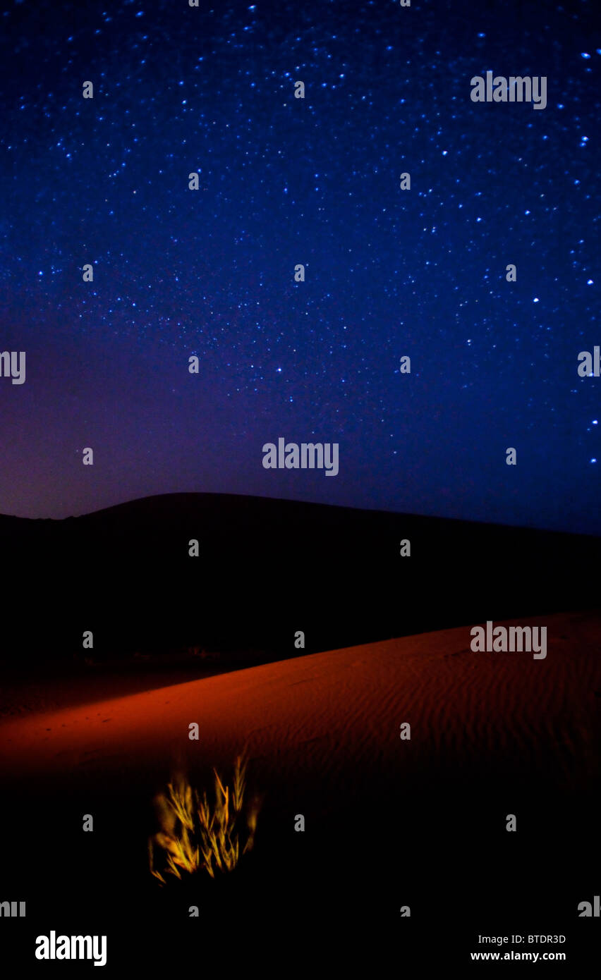 A starry sky in the Sahara Desert Stock Photo - Alamy
