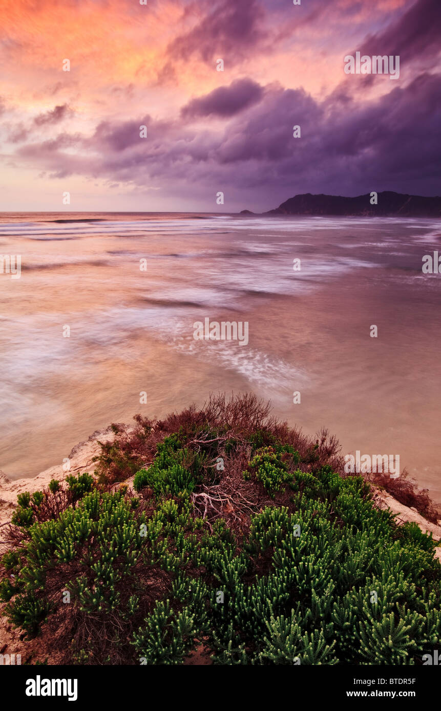 Sedgefield hi-res stock photography and images - Alamy
