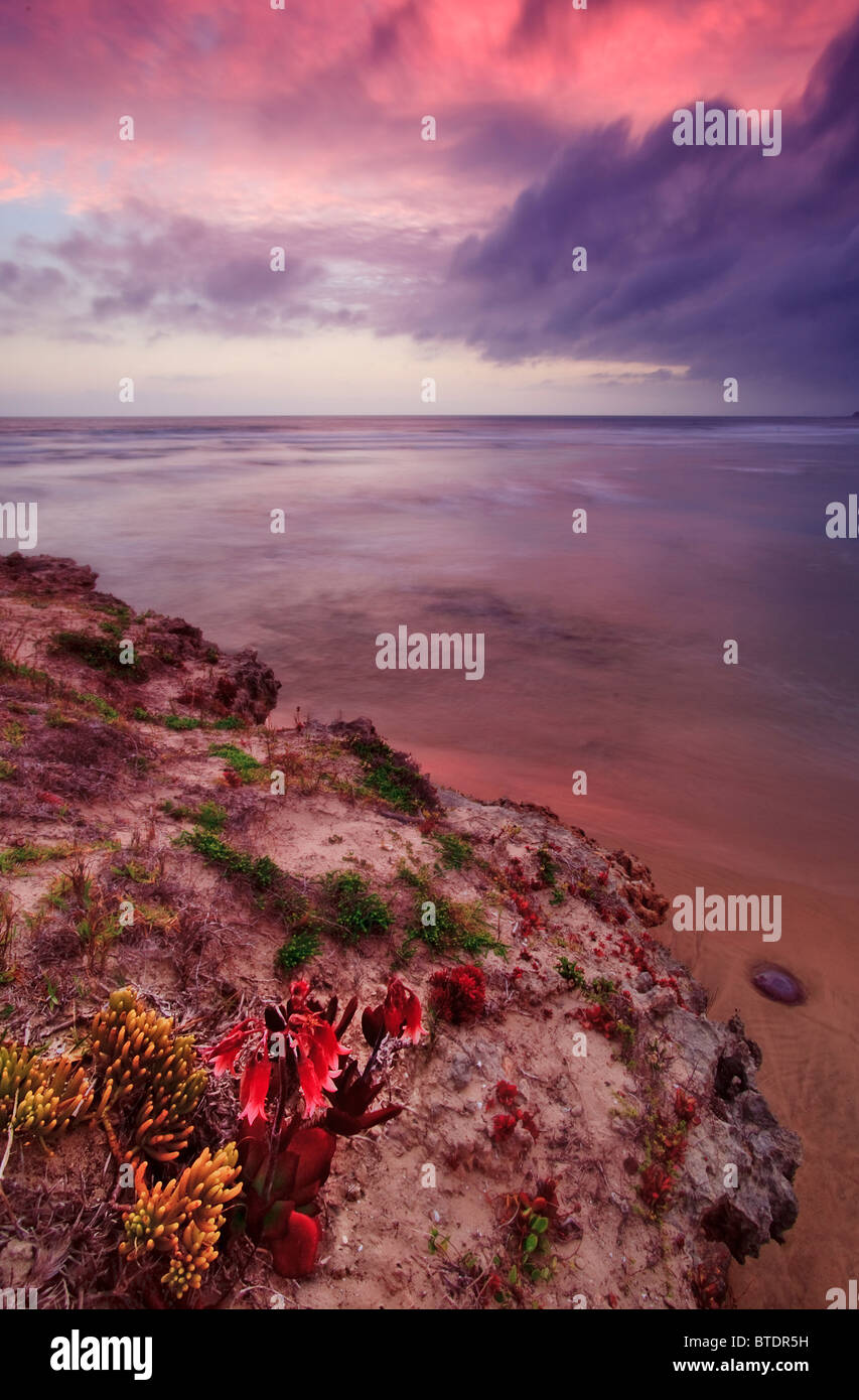 Sedgefield hi-res stock photography and images - Alamy