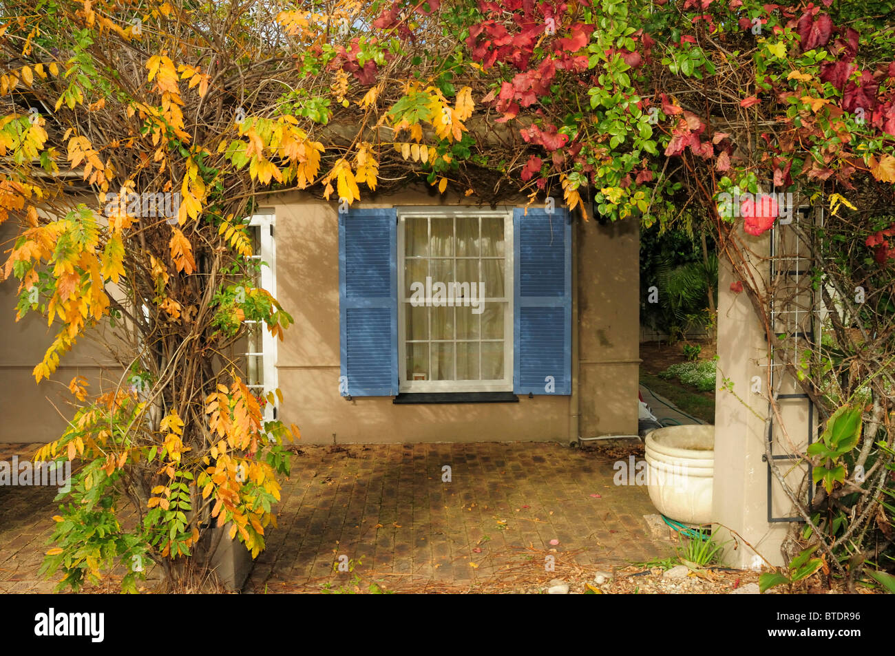 An old fashioned window with blue window shutters surrounded by ...