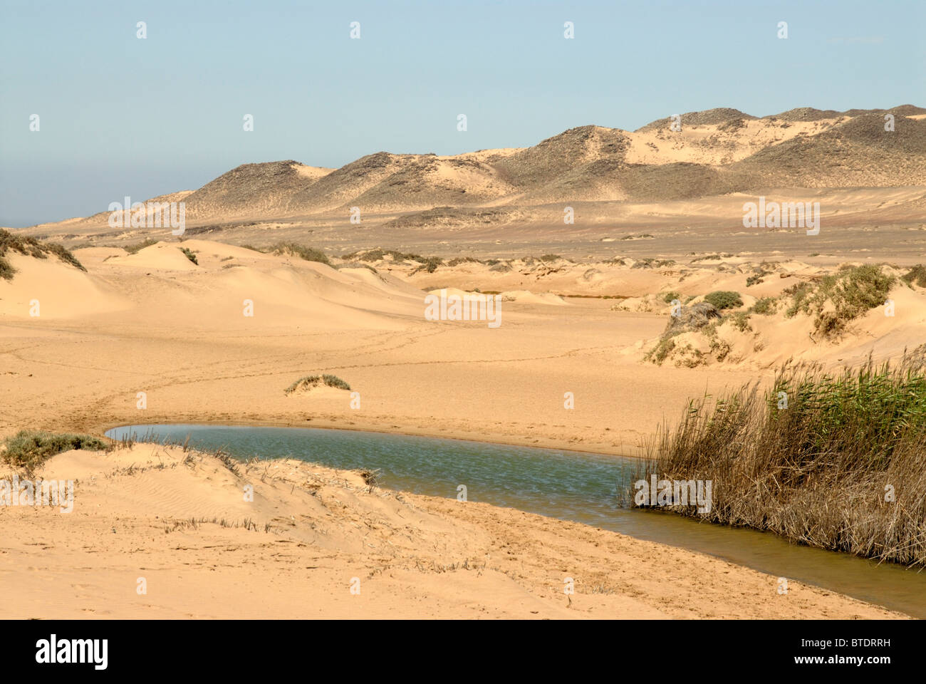 Freshwater view hi-res stock photography and images - Alamy