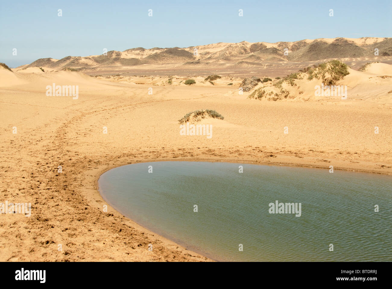 Scenic view of a freshwater spring, with animal tracks Stock Photo - Alamy
