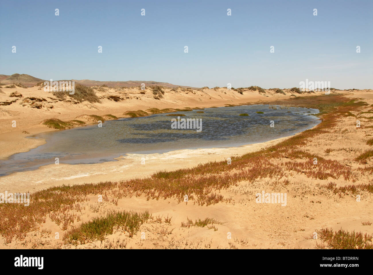 Freshwater view hi-res stock photography and images - Alamy