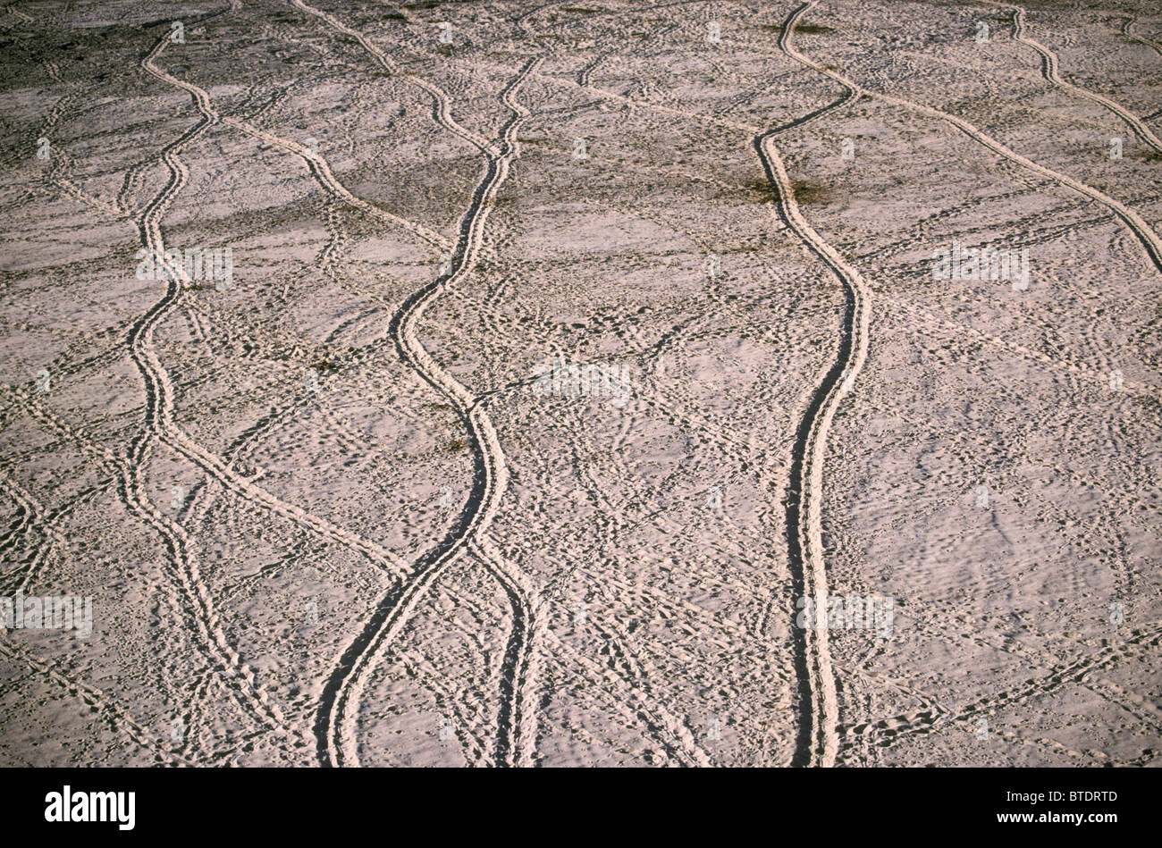 Hippo tracks hi-res stock photography and images - Alamy