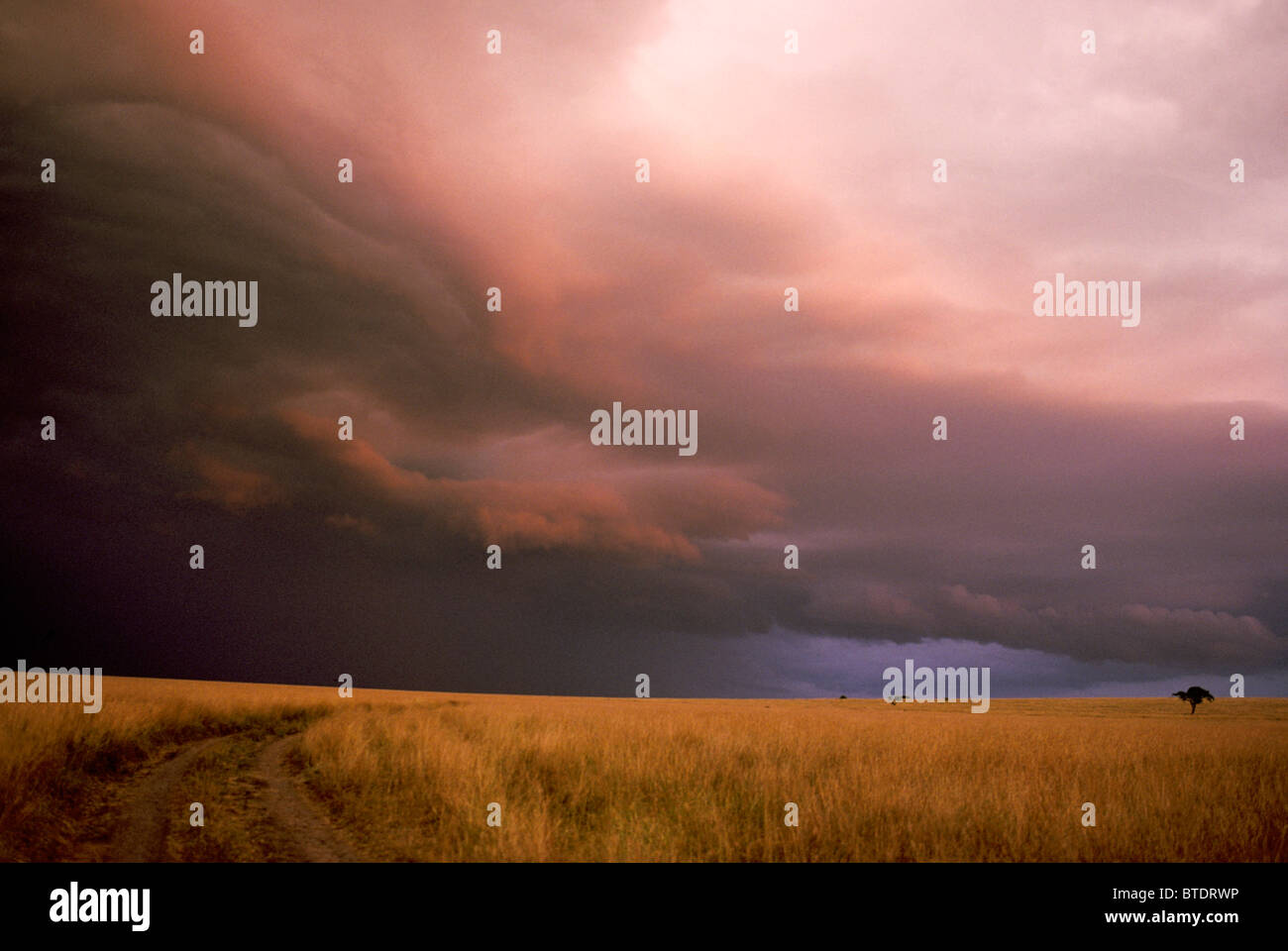 Storm over Mara plains Stock Photo - Alamy