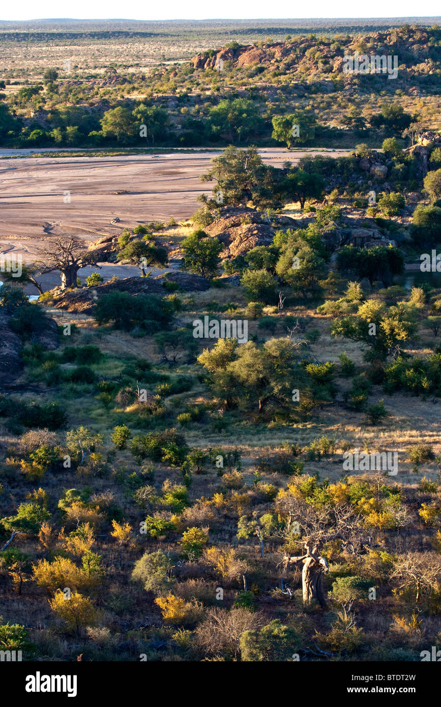 Vegetation limpopo river hi-res stock photography and images - Alamy