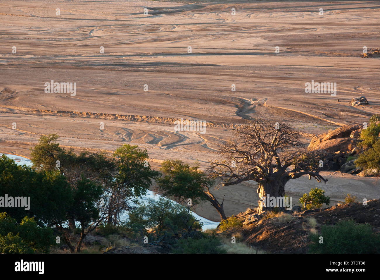 Tree limpopo river mapungubwe national hi-res stock photography and ...