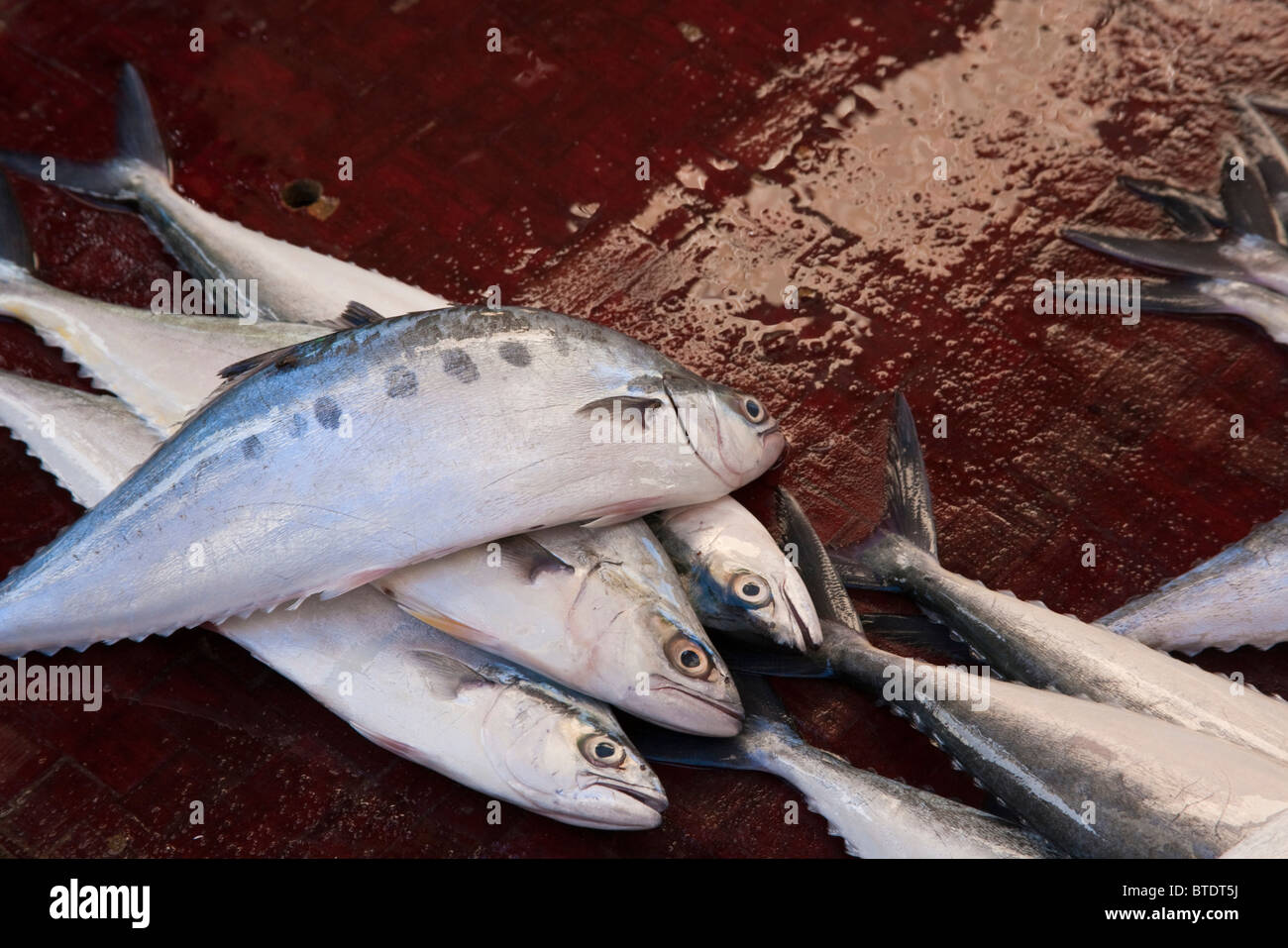 Fresh fish for sale at a market stall Stock Photo - Alamy