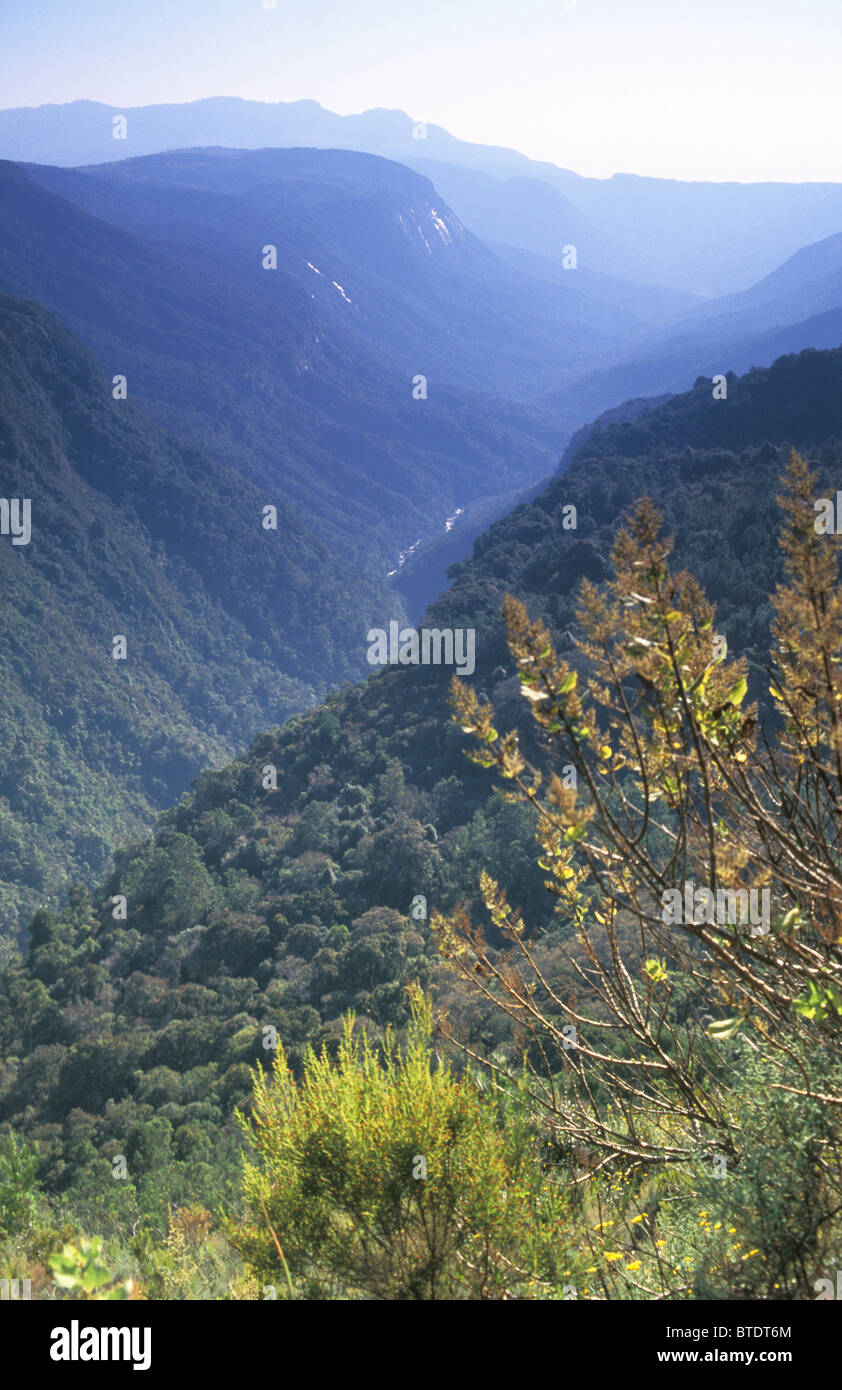 Nyanga mountains hi-res stock photography and images - Alamy