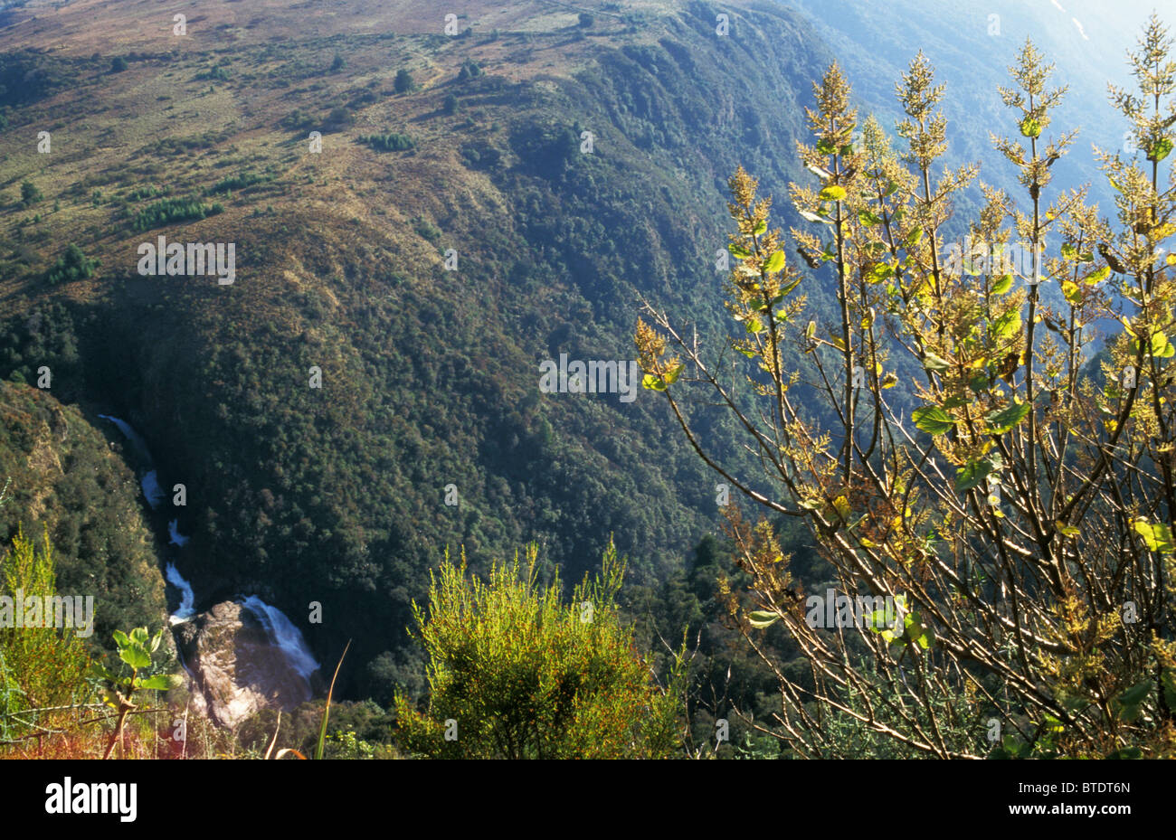 Nyanga zimbabwe hi-res stock photography and images - Alamy