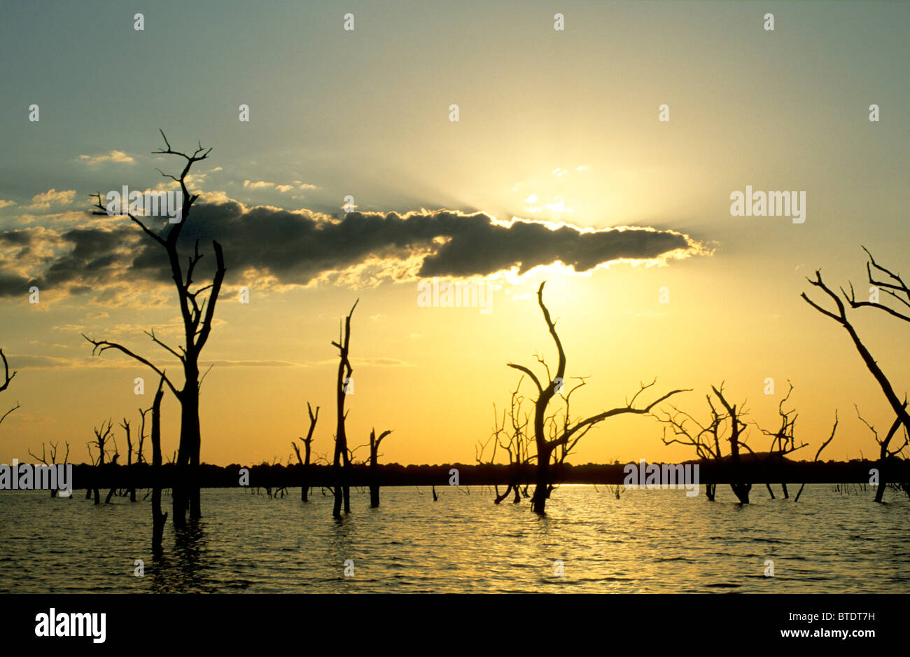 Sunset on Lake Kariba with dead tree silhouettes Stock Photo - Alamy
