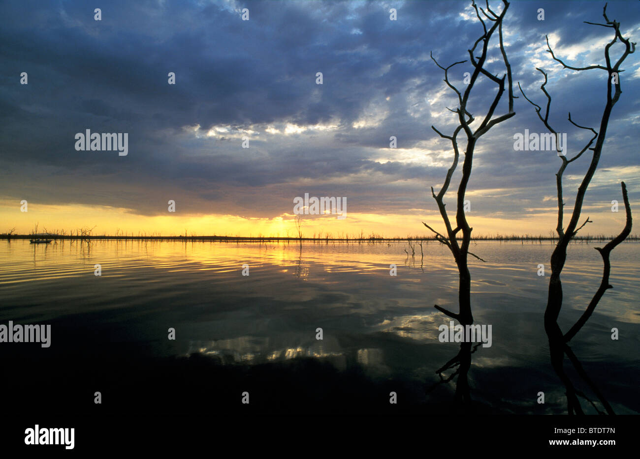 Sunset on Lake Kariba with dead tree silhouettes Stock Photo - Alamy