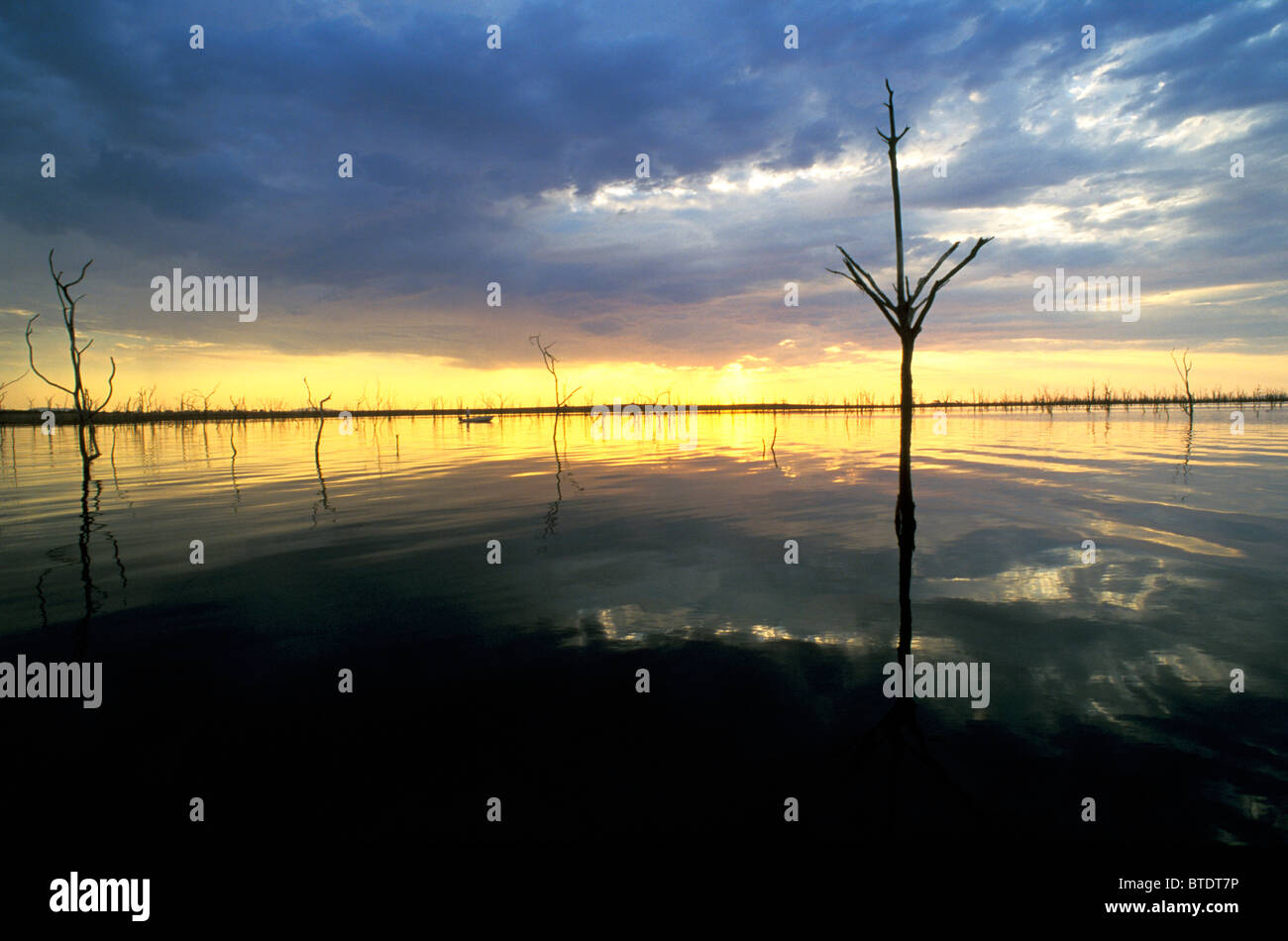 Sunset on Lake Kariba with dead tree silhouettes Stock Photo - Alamy