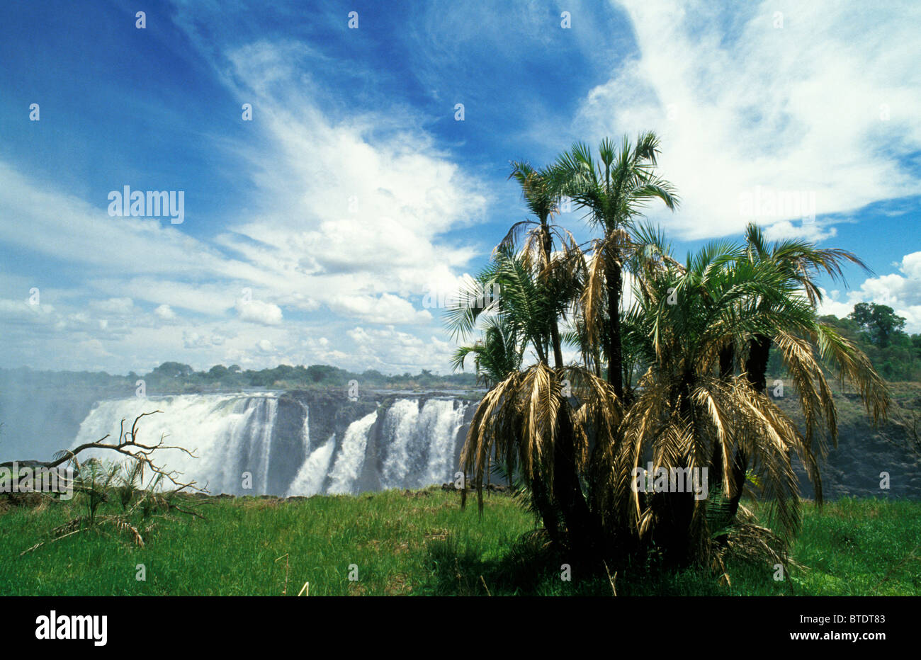 Scenic view of Victoria falls with palm tree in foreground Stock Photo ...