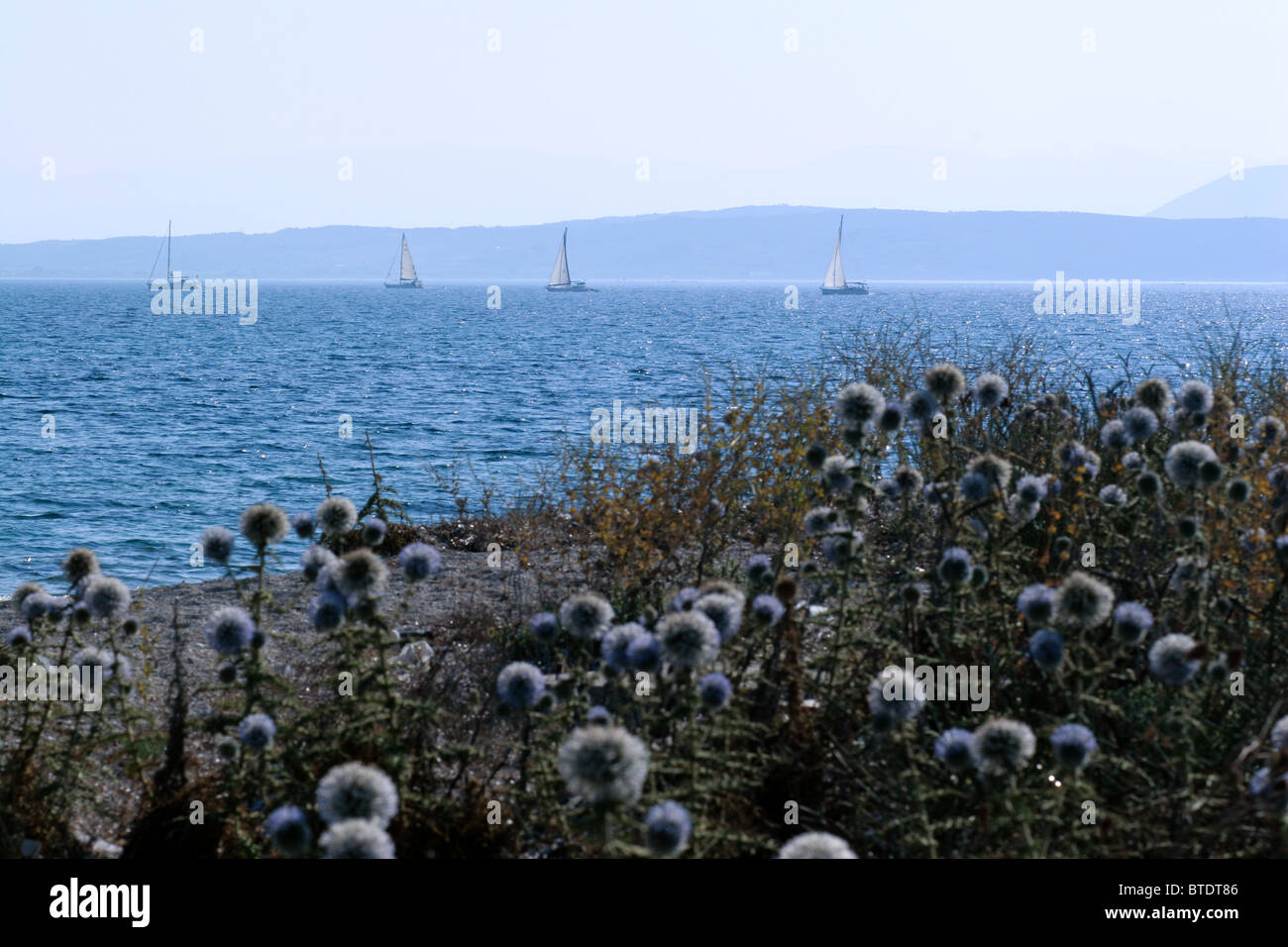 Lefkas Greece Greek islands island sea seascape sail boats sailing ...