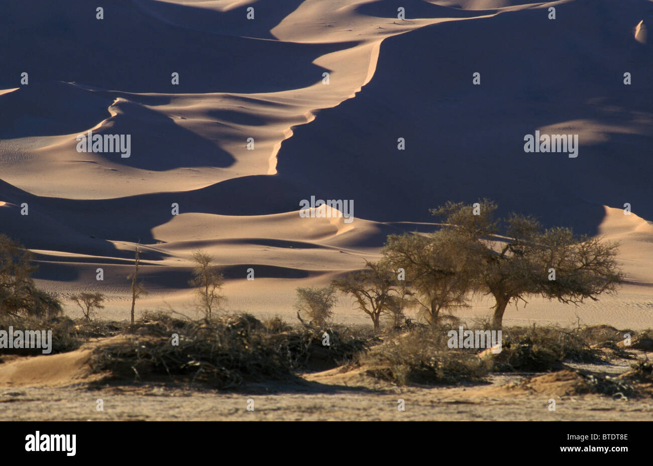 Dunescape hi-res stock photography and images - Alamy