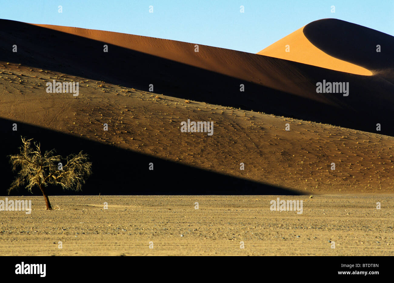 Dunescape hi-res stock photography and images - Alamy