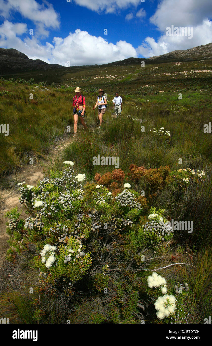 Donkey mountain hi-res stock photography and images - Alamy