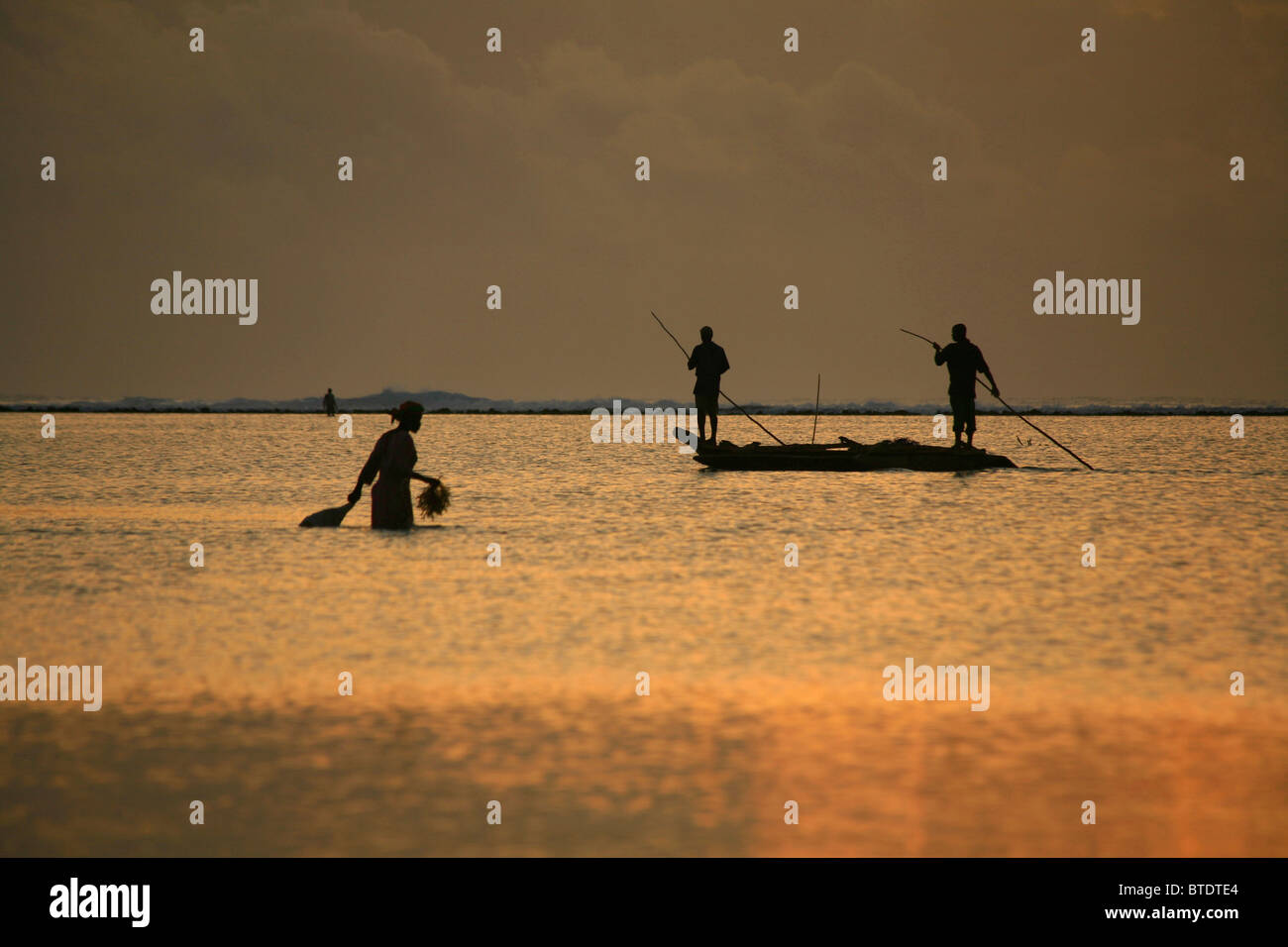 Woman wading through water collecting seaweed while fishermen stand on ...
