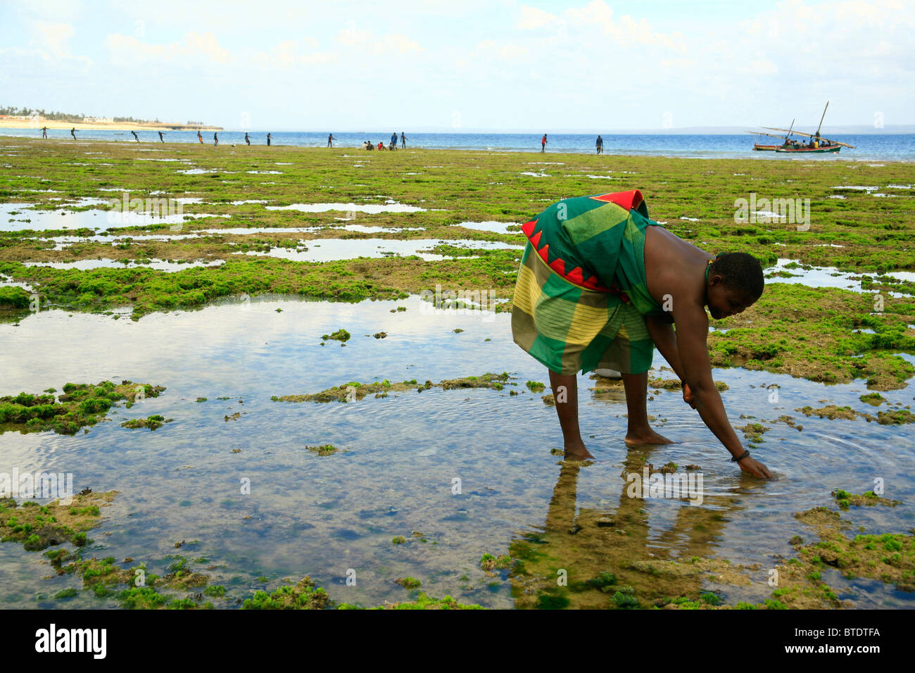 Woman searching for small fish in a rock pool Stock Photo - Alamy