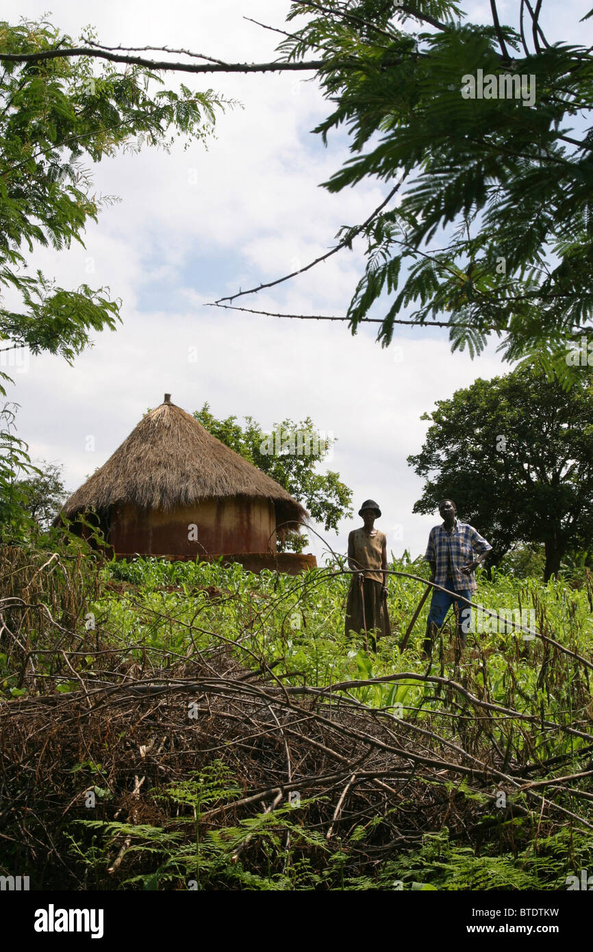 Traditional venda hut hi-res stock photography and images - Alamy