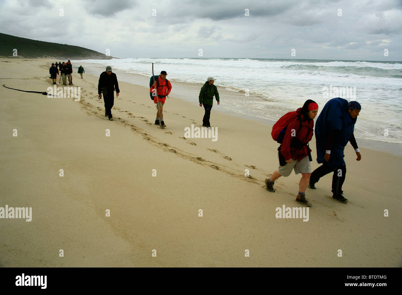 The whale trail hi-res stock photography and images - Alamy