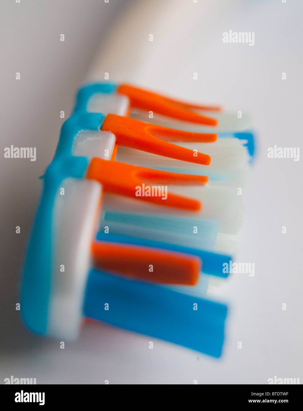 Close up of a standard toothbrush Stock Photo - Alamy
