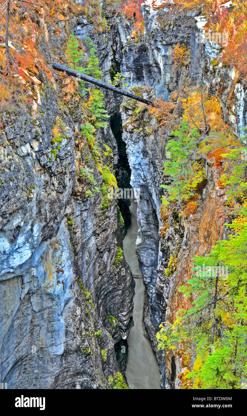 Marble Canyon, Kootenay National Park, Alberta, Canada Stock Photo - Alamy