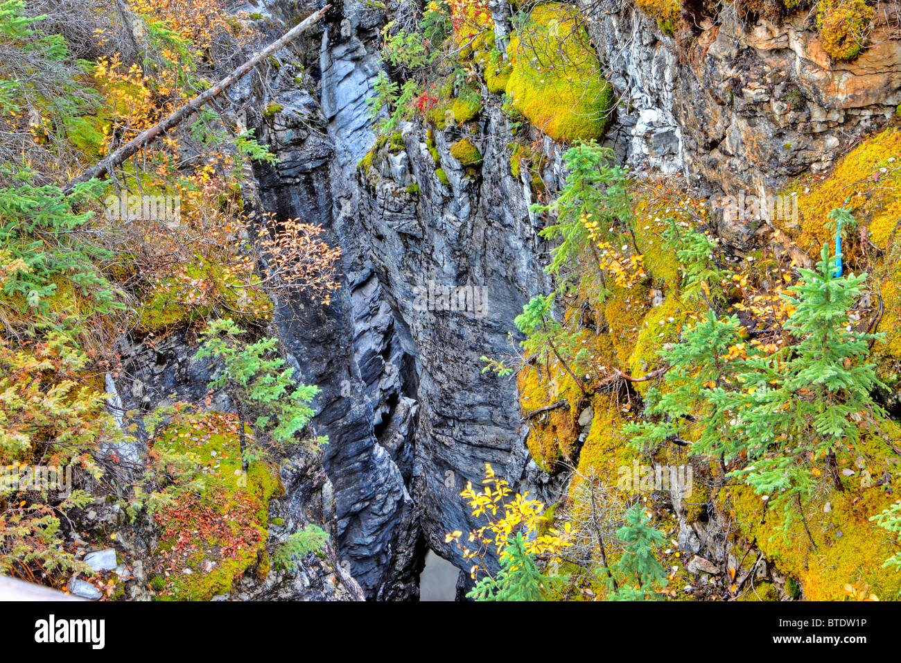 Marble Canyon, Kootenay National Park, Alberta, Canada Stock Photo - Alamy