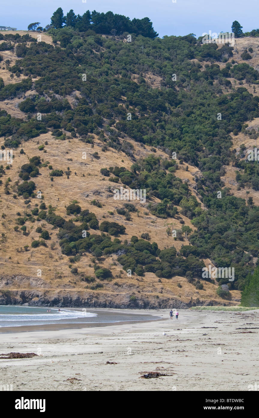 Waipatiki reserve hi-res stock photography and images - Alamy