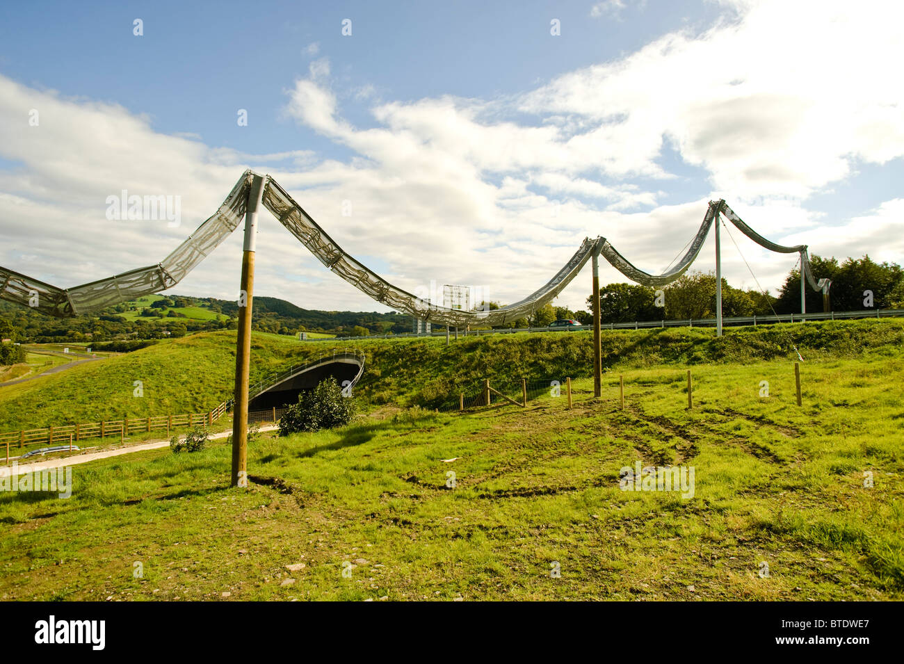 Dormouse Bridge enabling the endangered animals to cross a newly built ...