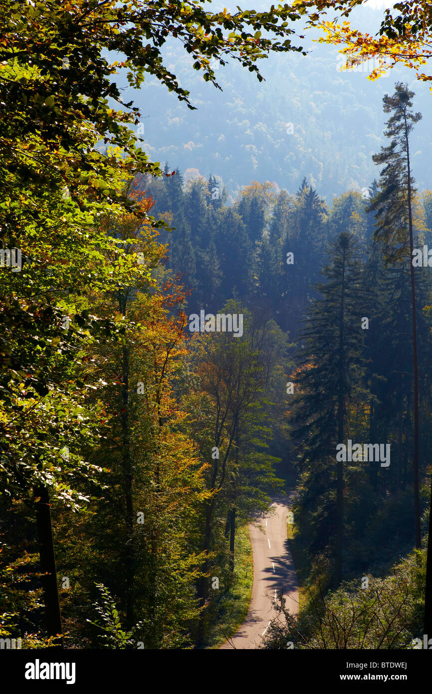 Road through forest hi-res stock photography and images - Alamy