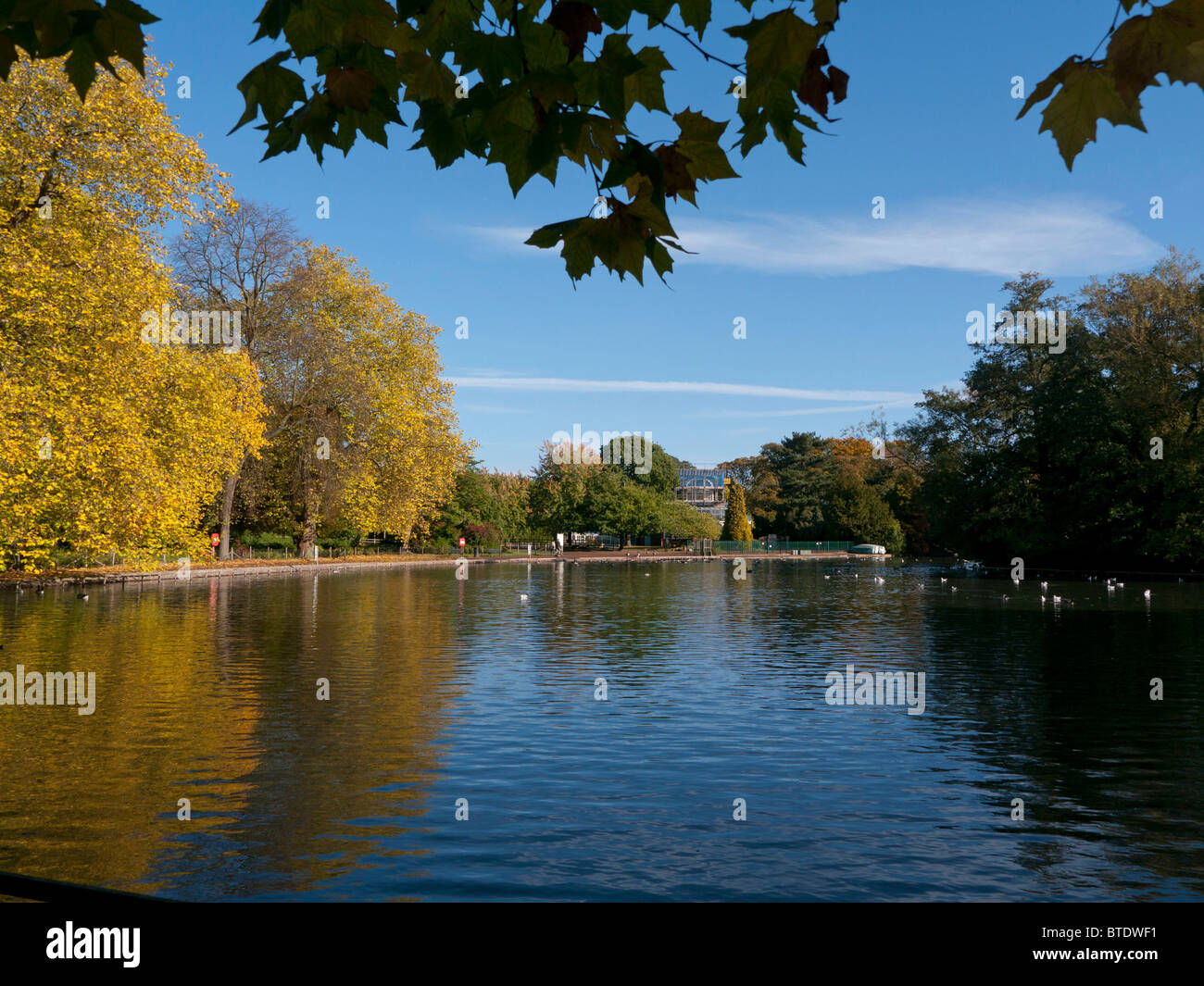 A lake in West Park Wolverhampton Stock Photo - Alamy