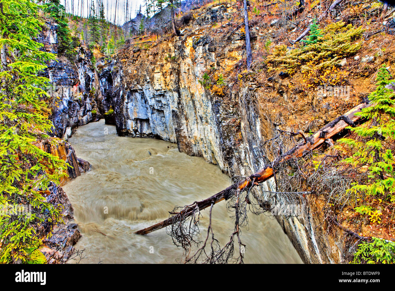 Marble Canyon, Kootenay National Park, Alberta, Canada Stock Photo - Alamy