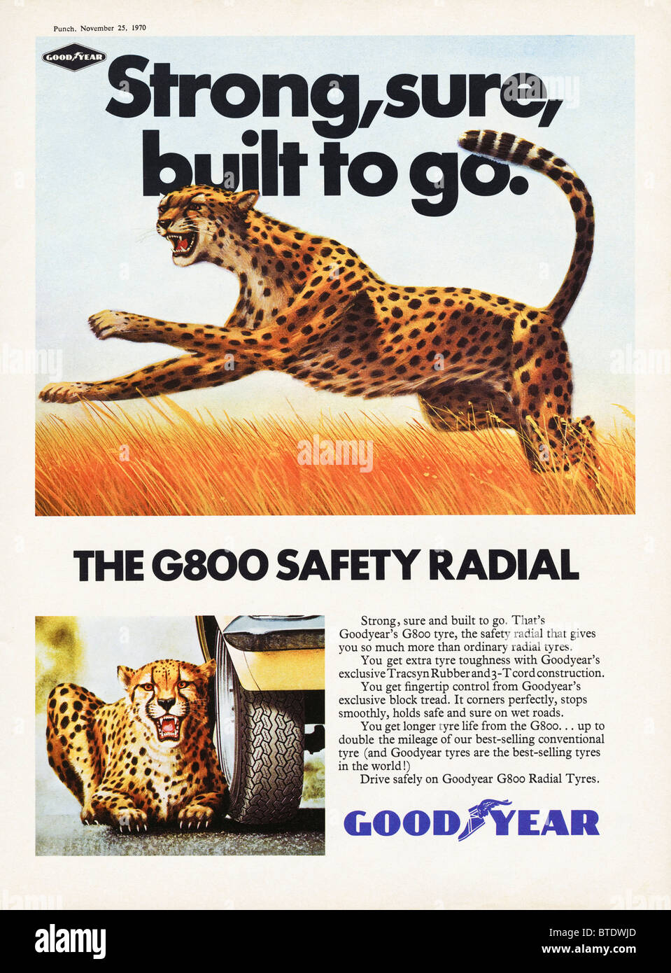 Advert for Goodyear G800 radial tyres in magazine dated 1st December ...