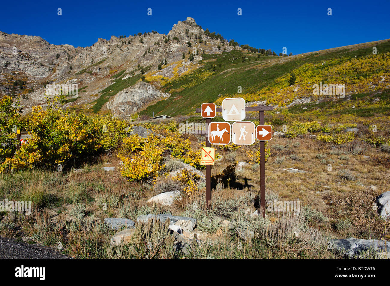 Angel Lake near Wells Nevada in the fall with brilliant gold Aspen ...