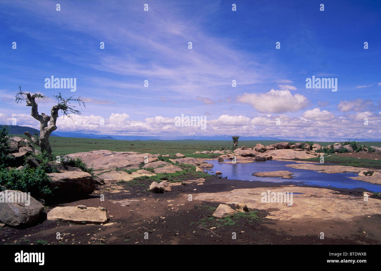 Serengeti landscape with a waterhole in amongst a rocky outcrop with ...