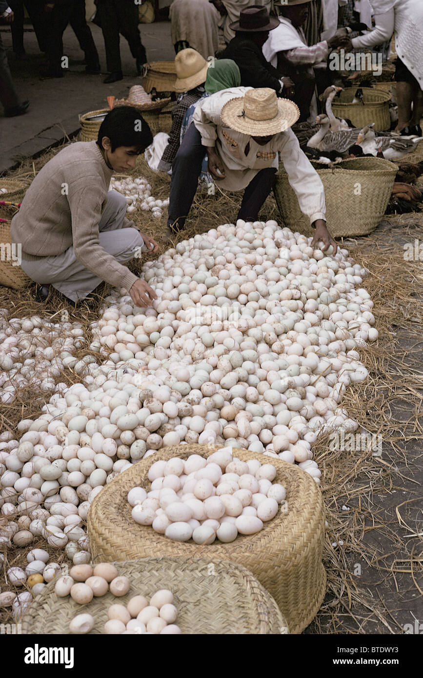 Two men sorting through a large pile of eggs at the Market place in ...